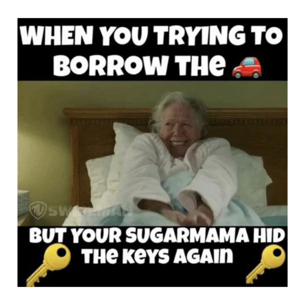 The Best Sugar Momma Memes in 2026